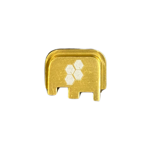 Hyve Slide Cover Plate For Cz P-10 C, Gold – LynxFA